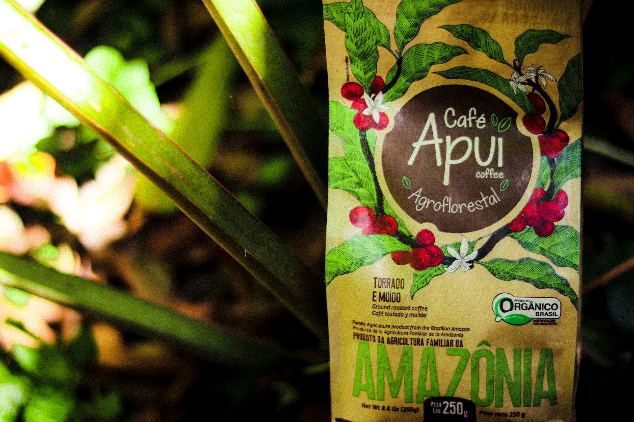 Fundo Vale | Café Apuí Agroflorestal apresenta a parceiros avanços ...