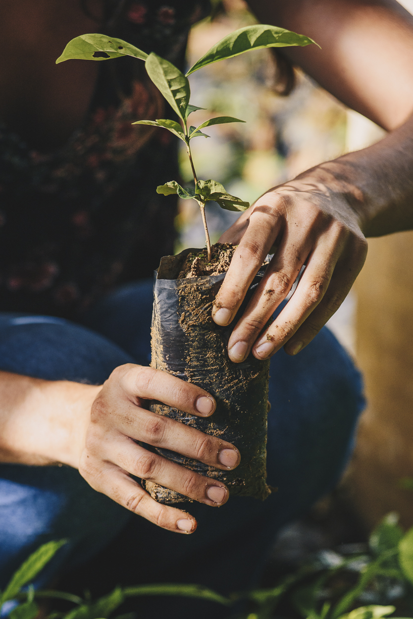 Fundo Vale | Vale Impact Network begins Investors’ Journey - Fundo Vale