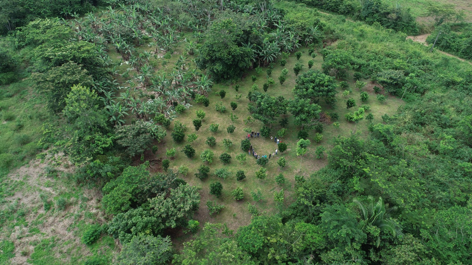 Fundo Vale | Fique por dentro – Fundo Vale nº35 - Fundo Vale